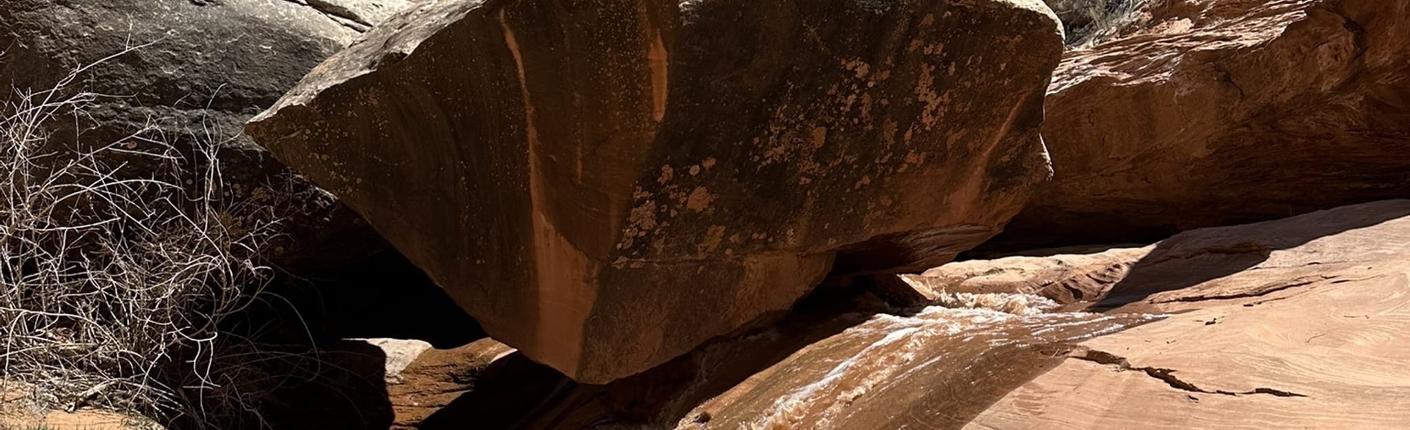 Kane Gulch to Todie Canyon, Utah - 89 Reviews, Map | AllTrails