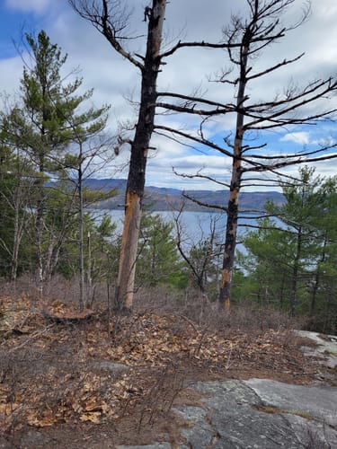 Best Hikes and Trails in Wellington State Park | AllTrails