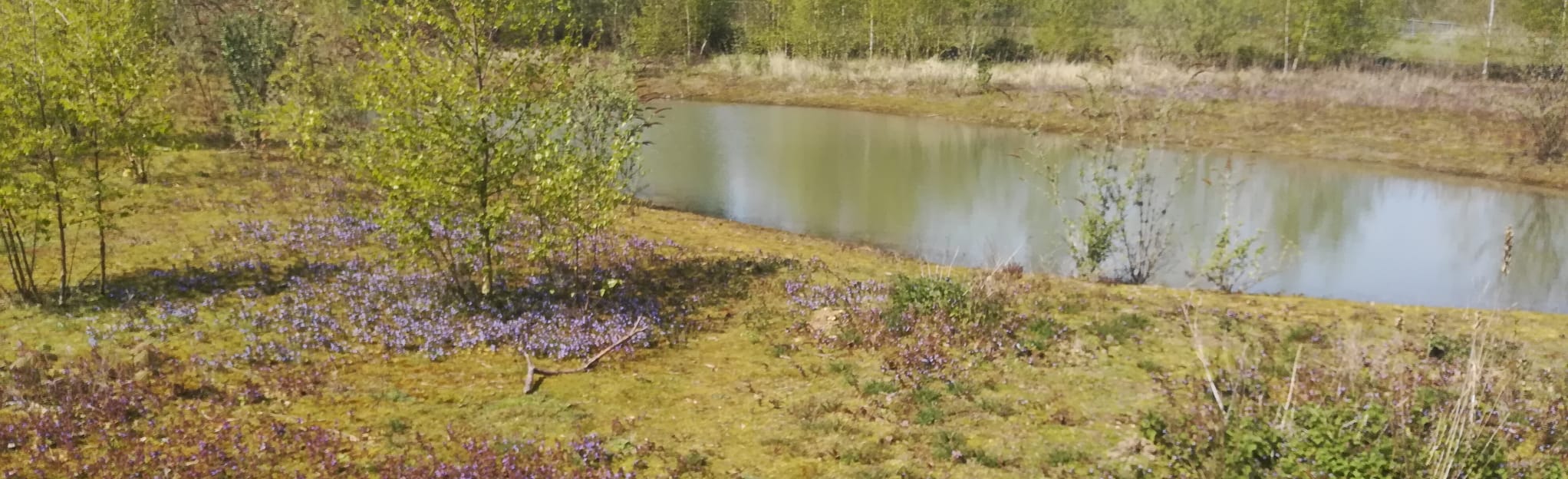 Brialmont Fort Belt, Antwerp, Belgium - 27 Reviews, Map | AllTrails