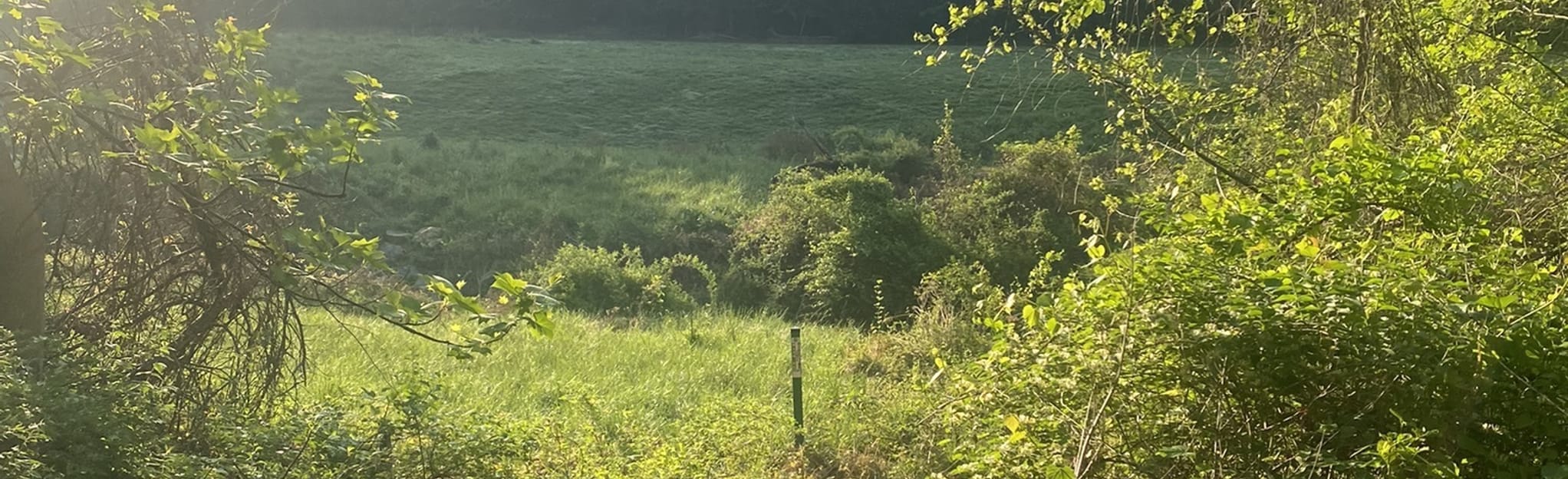 Round Tree Park Holmes Trail Loop: 29 Reviews, Map - Virginia | AllTrails