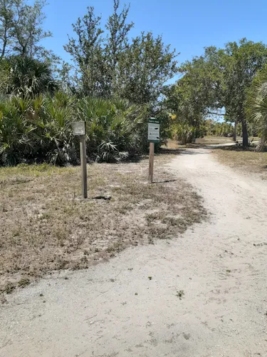 Best Hikes and Trails in Sand Key Park | AllTrails