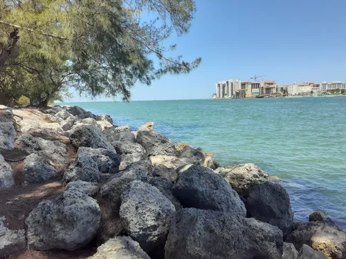 Best Hikes and Trails in Sand Key Park | AllTrails