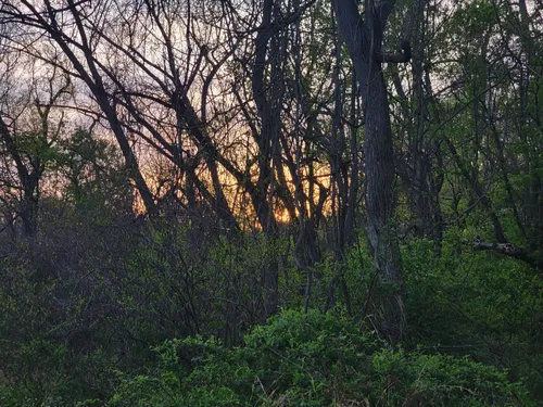 Best Hikes and Trails in Timber Top Farm | AllTrails