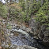 Chesterfield Gorge Trail, Massachusetts - 396 Reviews, Map | AllTrails