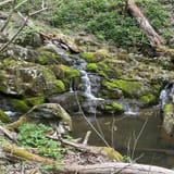 Jones Run Falls Trail, Virginia - 722 Reviews, Map | AllTrails