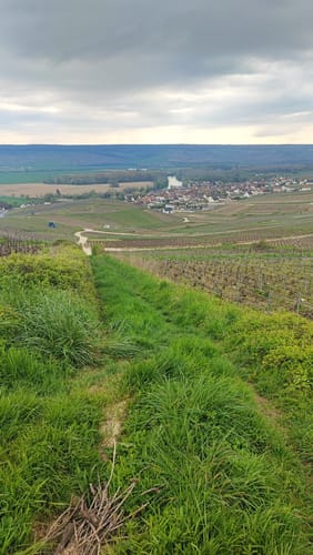 2023 Best River Trails in Montagne de Reims Regional Nature Park ...