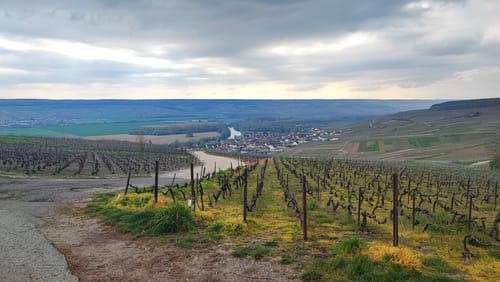 2023 Best River Trails in Montagne de Reims Regional Nature Park ...
