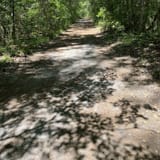 Cape Henry Trail, Virginia - 553 Reviews, Map | AllTrails