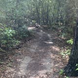 Green Ridge Trail, Texas - 1,055 Reviews, Map | AllTrails