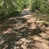 Cape Henry Trail, Virginia - 553 Reviews, Map | AllTrails