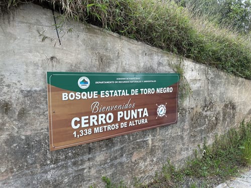 2023 Best Trails near Cerro de Punta | AllTrails