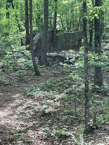 Best Hikes and Trails in Berry College Nature Preserve | AllTrails