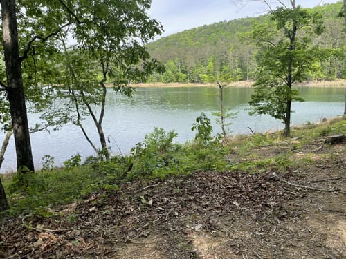 Best Hikes and Trails in Berry College Nature Preserve | AllTrails