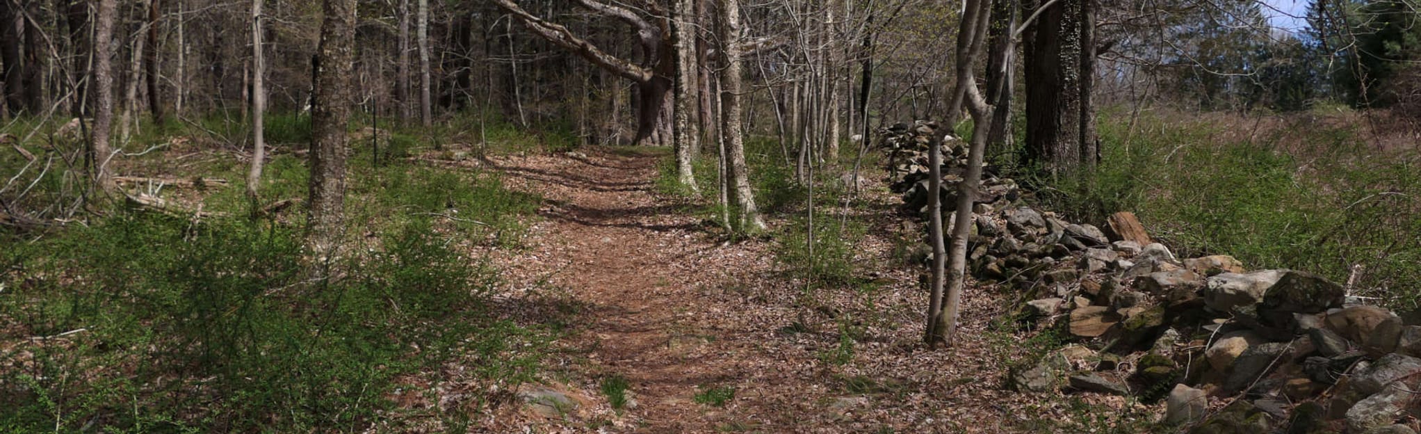Esther's Trail, Connecticut - 16 Reviews, Map | AllTrails