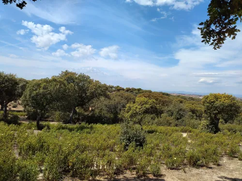 Best Hikes and Trails in Parque Monte de Boadilla | AllTrails