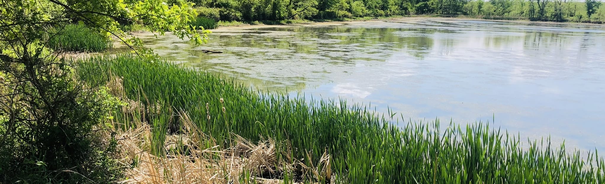 Oxbow Lake Trail [CLOSED], Oklahoma - 83 Reviews, Map | AllTrails
