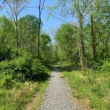 Difficult Run Trail, Virginia - 687 Reviews, Map | AllTrails