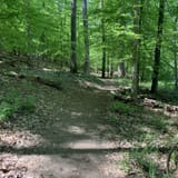 Difficult Run Trail, Virginia - 687 Reviews, Map | AllTrails