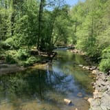 Difficult Run Trail, Virginia - 687 Reviews, Map | AllTrails