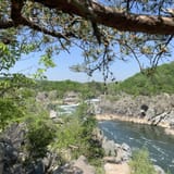 Difficult Run Trail, Virginia - 687 Reviews, Map | AllTrails