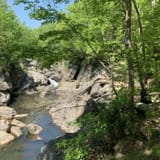 Difficult Run Trail, Virginia - 687 Reviews, Map | AllTrails