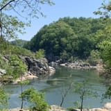 Difficult Run Trail, Virginia - 687 Reviews, Map | AllTrails