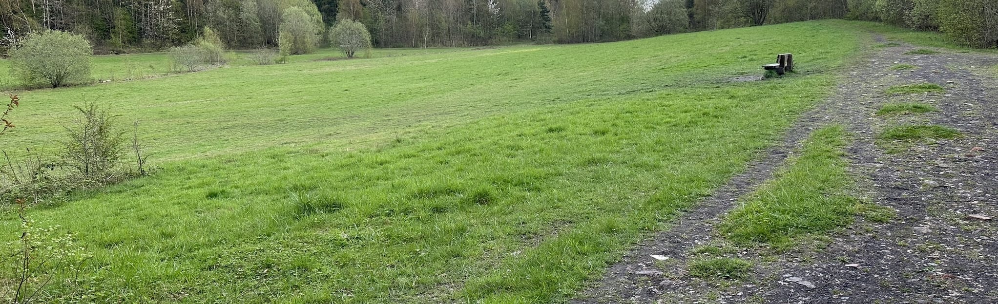 Hafod Woodland Circular: 10 Reviews, Map - Wrexham, Wales | AllTrails