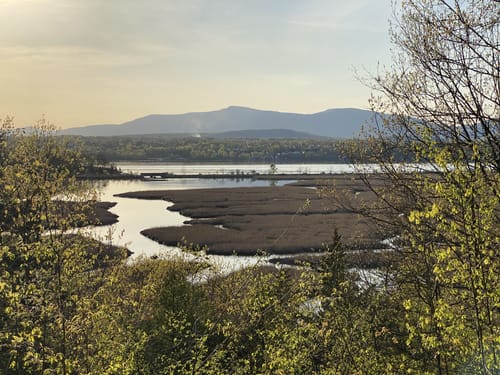 Best Hikes and Trails in Tivoli Bays Wildlife Management Area | AllTrails