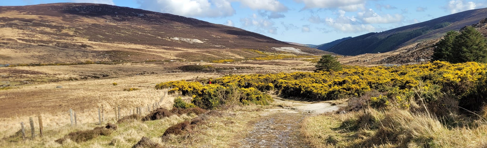Camaderry via Turlough Hill and St. Kevin's Way Loop: 364 Fotos ...