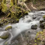 Bayocean Peninsula, Oregon - 631 Reviews, Map | AllTrails