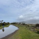 Bayocean Peninsula, Oregon - 631 Reviews, Map | AllTrails
