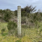 Bayocean Peninsula, Oregon - 631 Reviews, Map | AllTrails