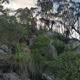 Mount Larcom Walking Trail, Queensland, Australia - 201 Reviews, Map ...