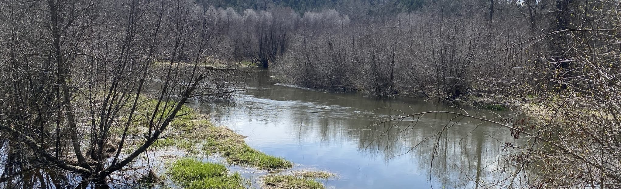 Painted Rocks Nature Trail: 619 Reviews, Map - Washington | AllTrails