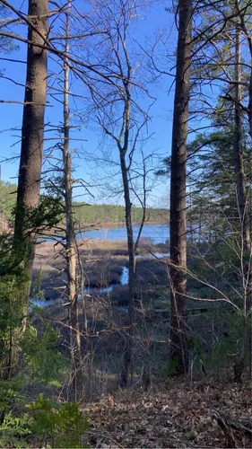 Best Hikes and Trails in Lake Dennison Recreation Area | AllTrails