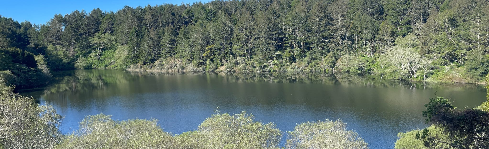 Coast Trail to Wildcat Camp: 1,160 Reviews, Map - California | AllTrails