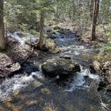 Grout Pond Trail, Vermont - 284 Reviews, Map | AllTrails