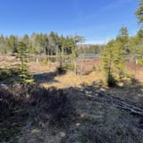 Grout Pond Trail, Vermont - 284 Reviews, Map | AllTrails