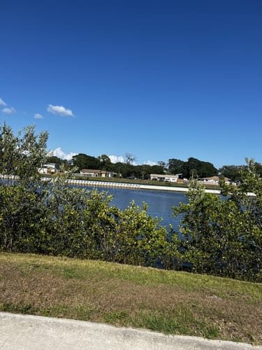 Best Hikes and Trails in Childs Park | AllTrails