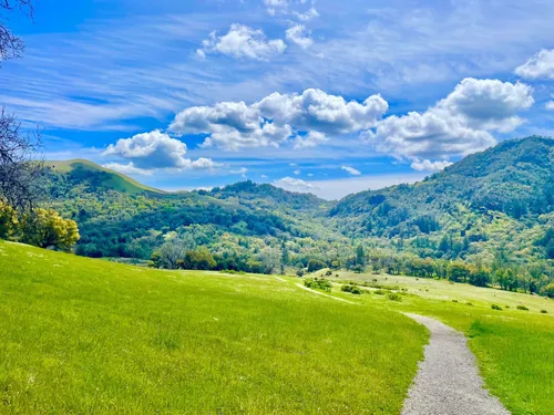 10 Best Hikes and Trails in Sugarloaf Ridge State Park | AllTrails