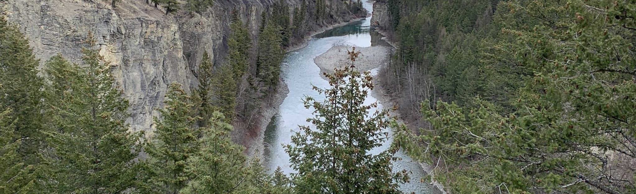 Bull River Trail: 43 Reviews, Map - British Columbia, Canada | AllTrails
