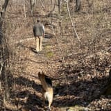 Ryan Park Loop, Rhode Island - 422 Reviews, Map | AllTrails