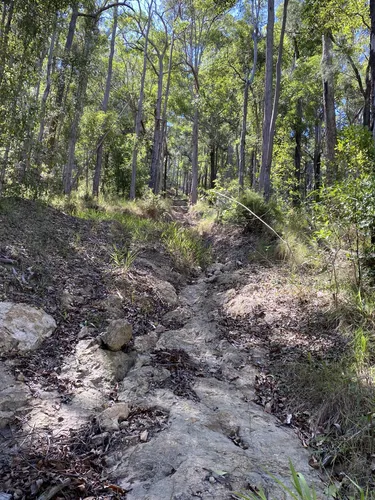 Best Hikes and Trails in Mapleton National Park | AllTrails