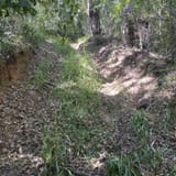 Mapleton Explorer, Queensland, Australia - 5 Reviews, Map | AllTrails