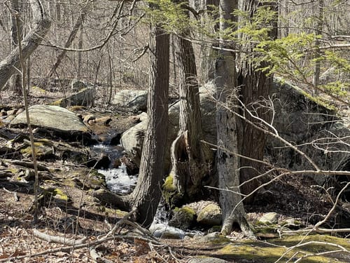 Best Hikes and Trails in Cranberry Pond Conservation Area | AllTrails