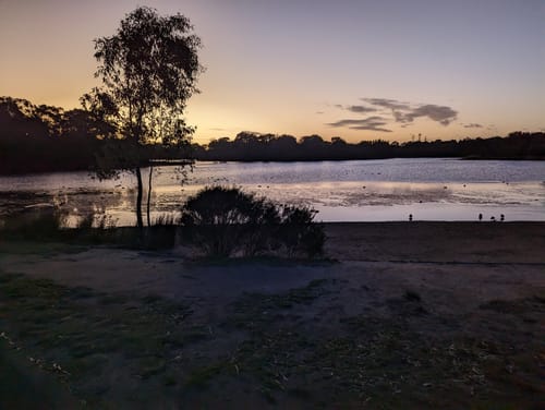 Best Hikes and Trails in Jells Park | AllTrails