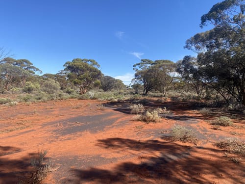 Best Hikes and Trails in Karlkurla Bushland Park | AllTrails
