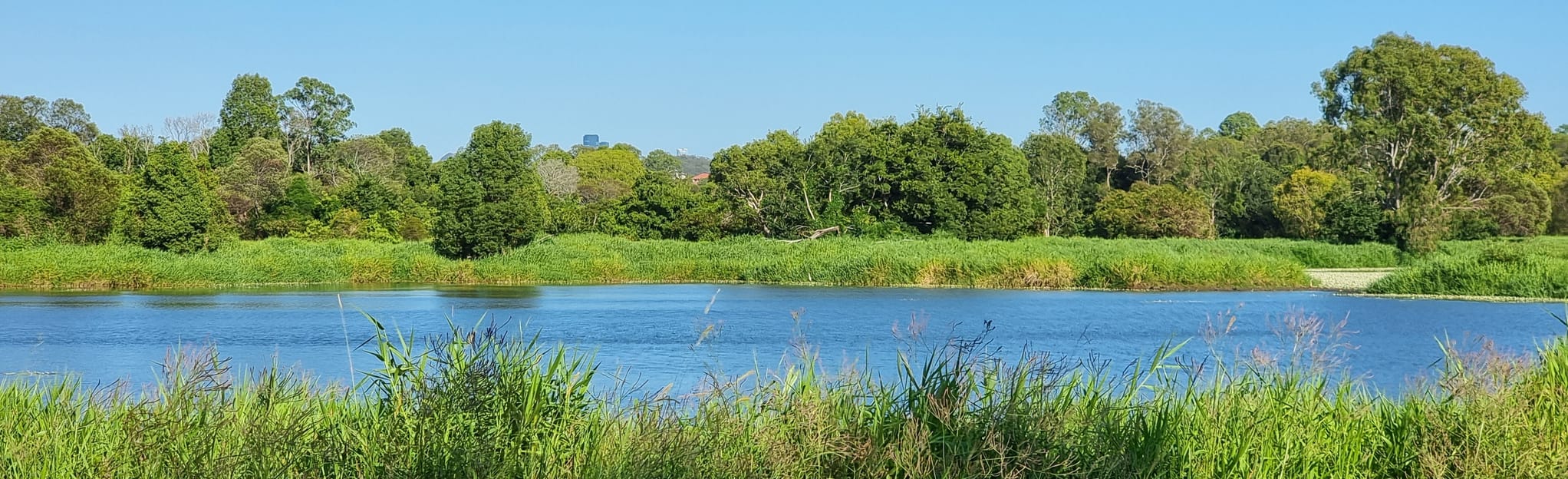 Bulimba Creek Loop: 114 Reviews, Map - Queensland, Australia | AllTrails