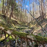 Tioga West Rim Trail, Pennsylvania - 517 Reviews, Map | AllTrails