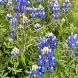 Point Buchon Trail, California - 485 Reviews, Map | AllTrails